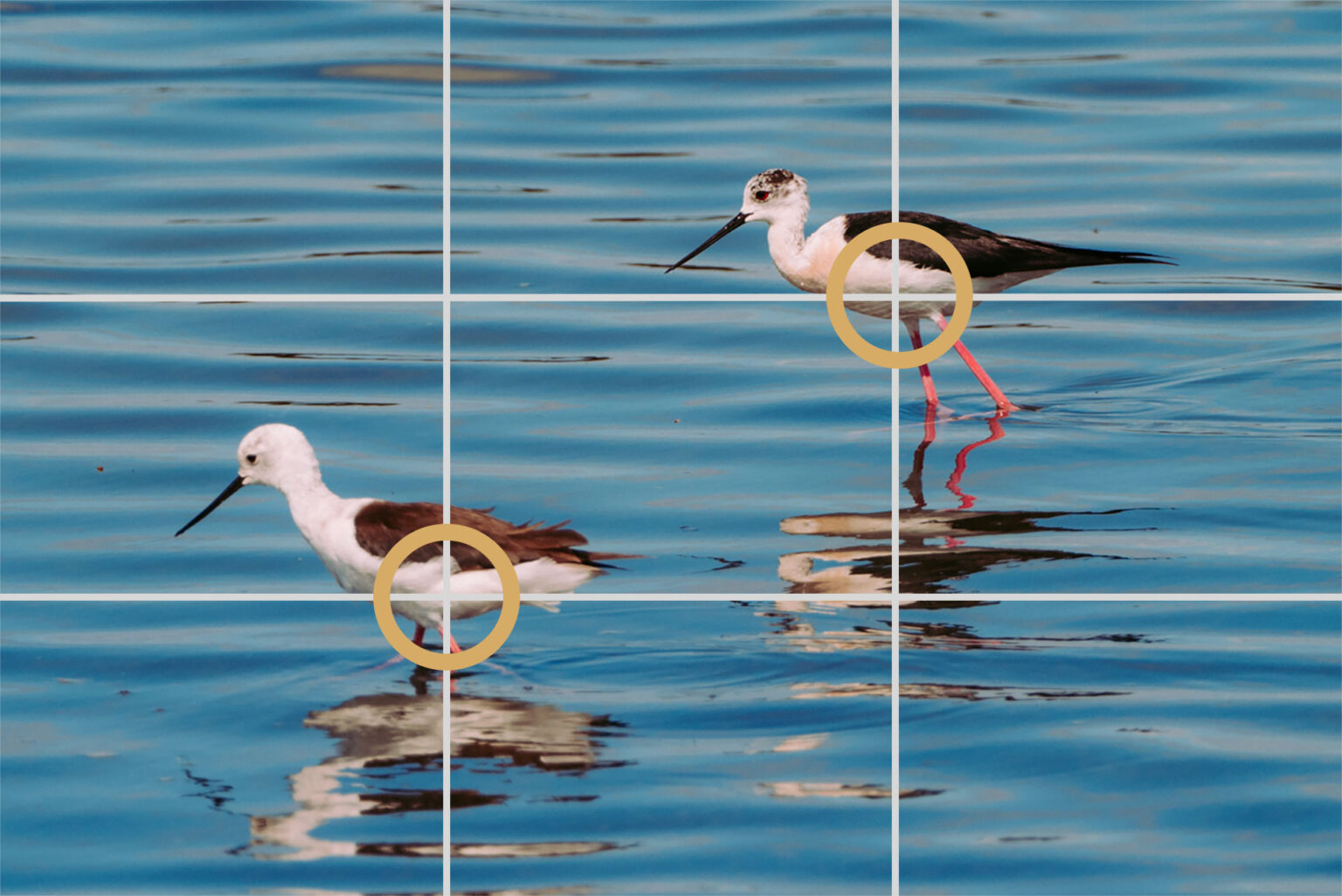 📸 Fotografia dla początkujących: 5 kroków do lepszych zdjęć!